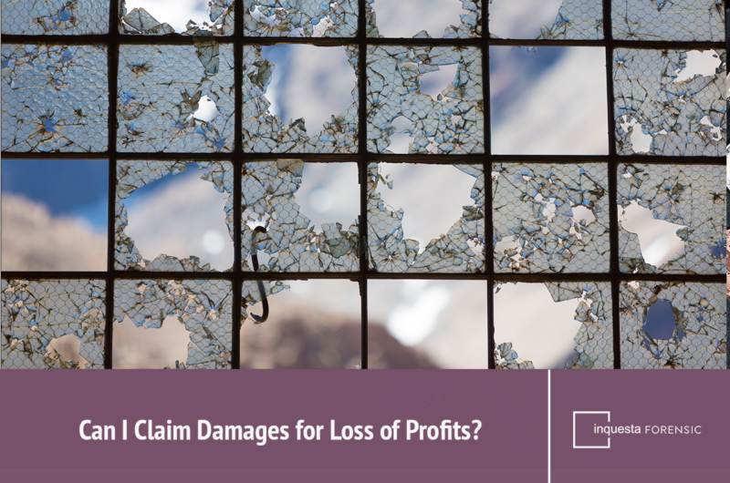 Loss Of Revenue vs Loss of Profits Explained | Inquesta Forensic